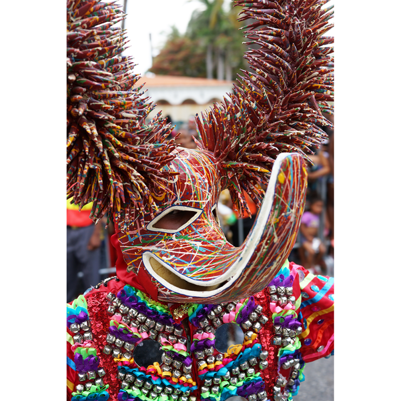 Lechón Mask – Second Face