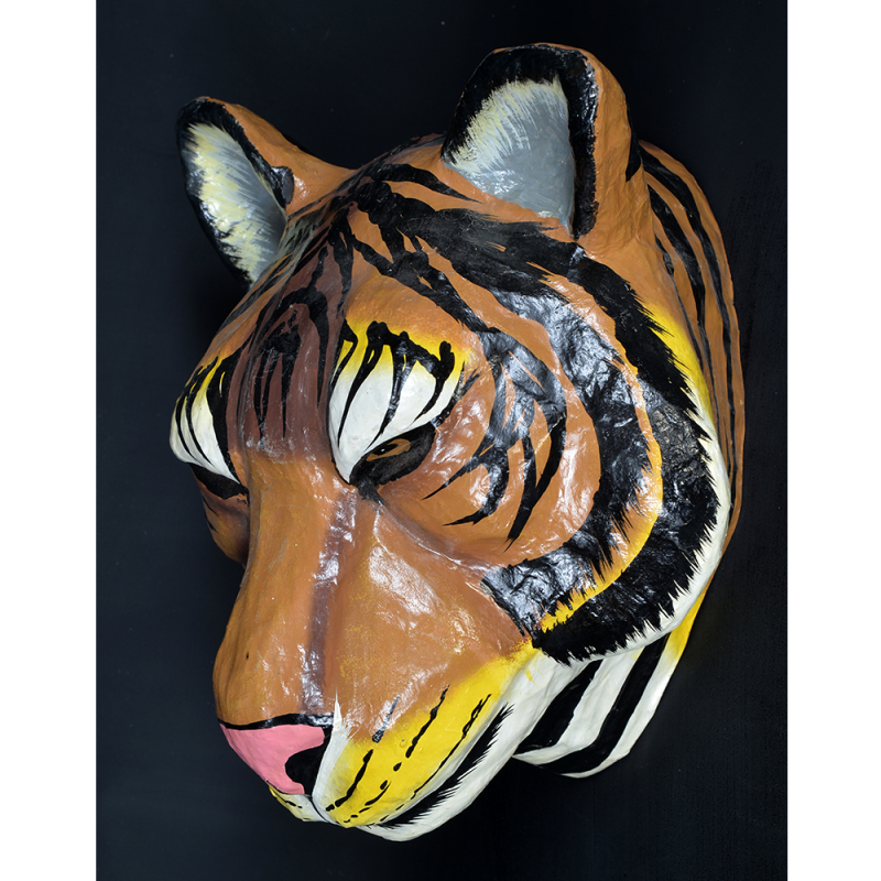 Wayana-Aparai Tamok – Second Face