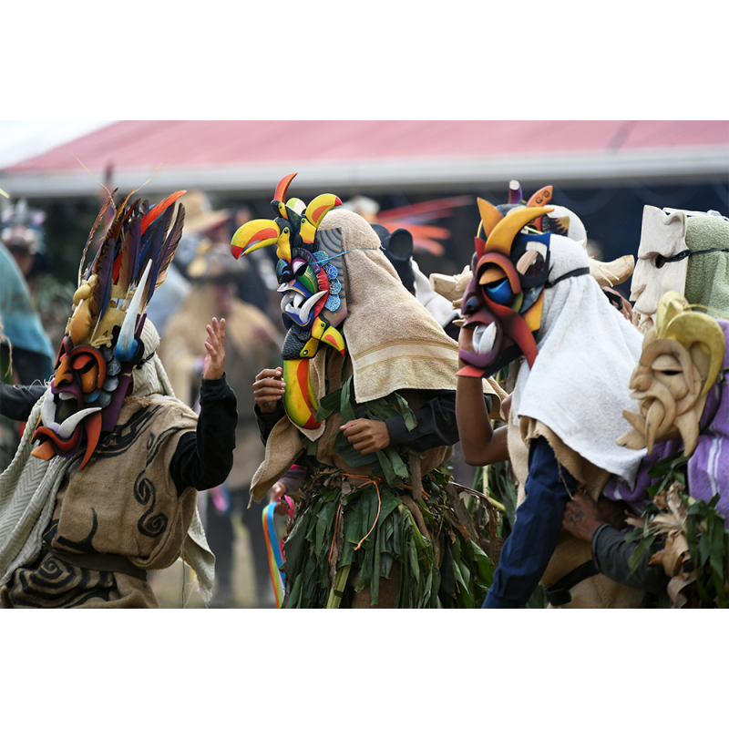 Boruca Toucan Mask – Second Face